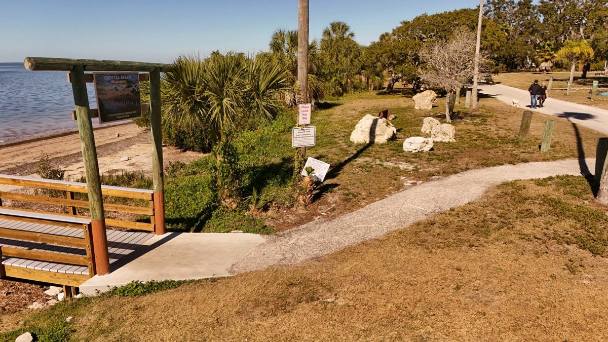 Drone maps & 3D models in Palm Harbor, Fl, US — Crystal Beach